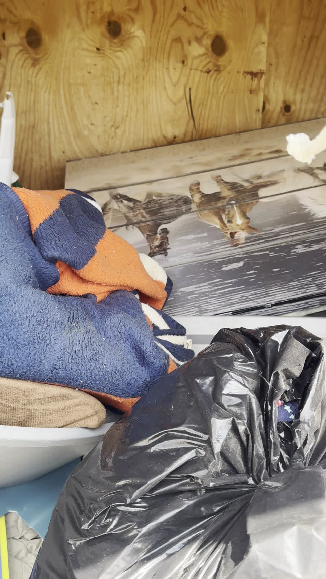 Unit 114 - Branson, Missouri | All About Storage - Branson | BID13