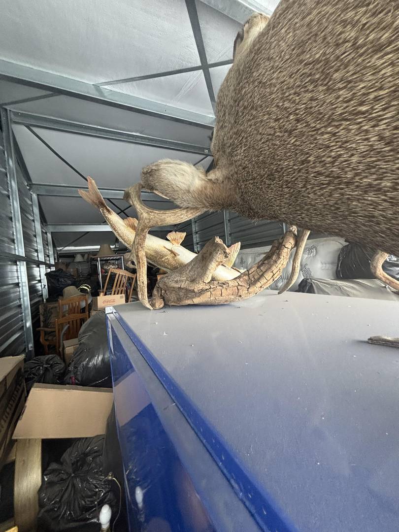 Unit GC529 - Granby, Colorado | Grand Central Storage | BID13